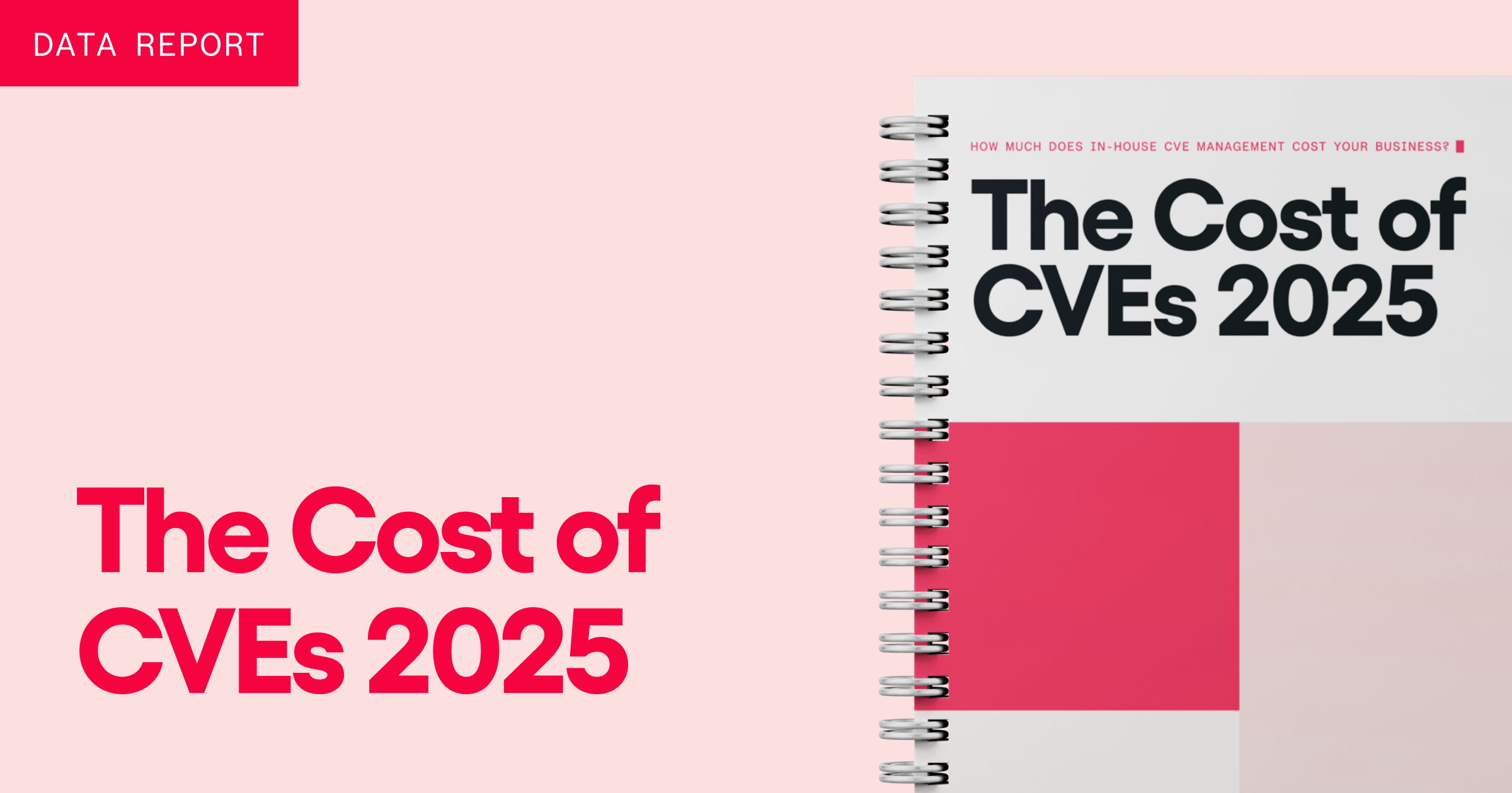The Cost of CVEs 2025 Report